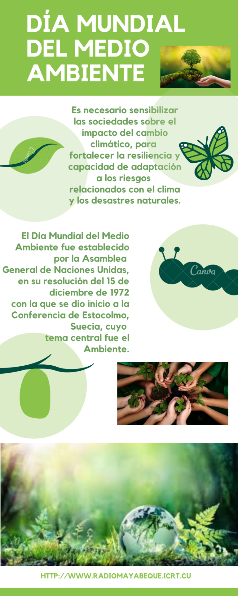 Día Mundial del Medio Ambiente | Radio Mayabeque